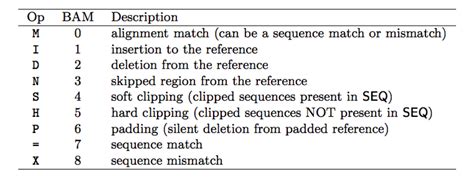 Terminology Bioinformatics Workbook