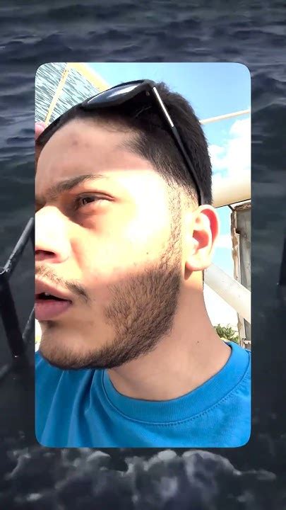 پدر سگ آقای سگ زادگان قیمتاش گرون بود 💀 طنز فان Youtube