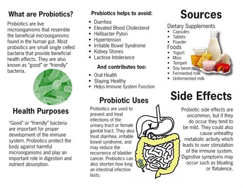 The Basics Of Probiotics Pdf
