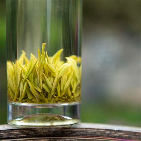 拒绝苦涩！保姆级绿茶冲泡指南 知乎