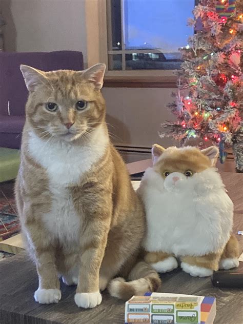 Timmy And New Buddy Timmy Jr Wish You Merry Christmas R Oneorangebraincell