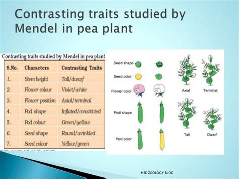 principles of inheritance and variation