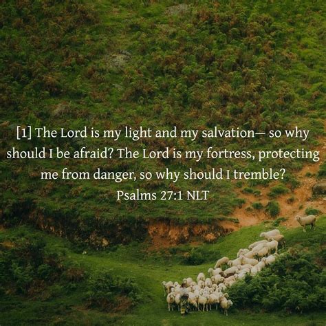 St Padre Pio Psalms 27 1 Nlt Facebook