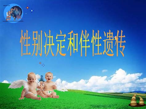 第二章第3节 伴性遗传word文档在线阅读与下载无忧文档