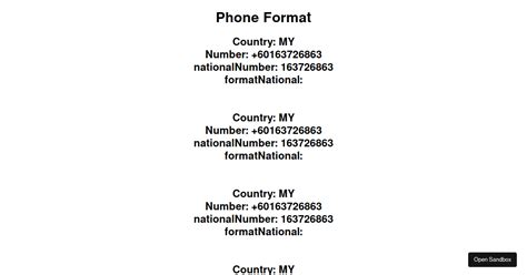 Libphonenumbercheng Codesandbox