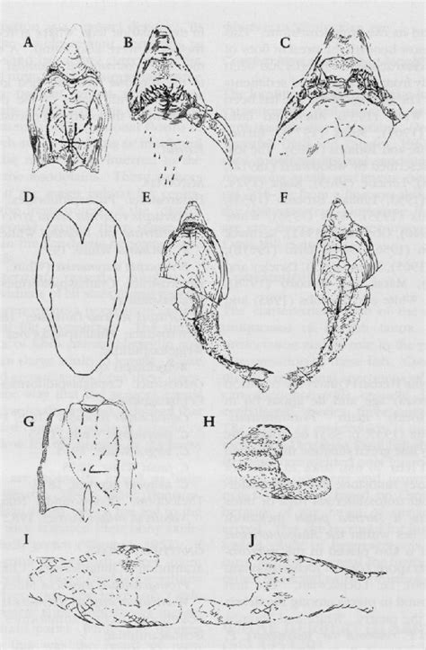 Wayne Herbert Quarry Geoguide