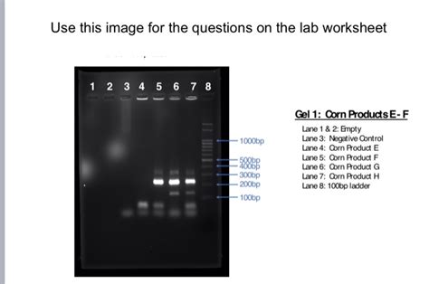 Solved Use This Image For The Questions On The Lab Worksheet Chegg