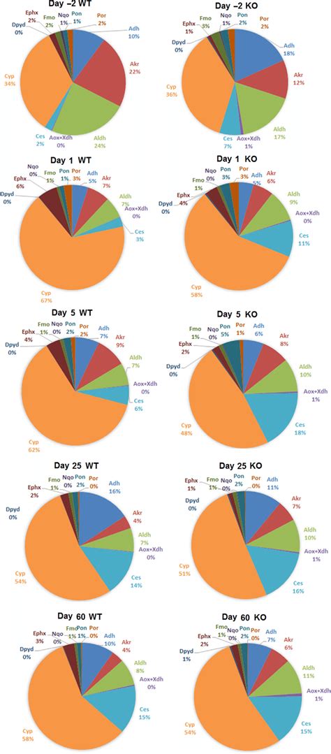 Percentages Of FPKM Values Of Each Phase I Family At Ages Of Days 2 Download Scientific