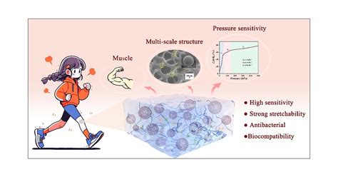 Highly Stretchable Sensitive Multiscale Hydrogel Inspired By Biological Muscles For Wearing