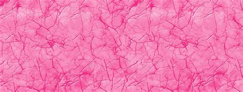 피부층과 구조 피부층 사진 배경 일러스트 및 사진 무료 다운로드 Pngtree