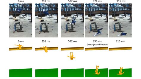 Prediction Of A Fall From Height Using Multibody Dynamics Modelling Download Scientific