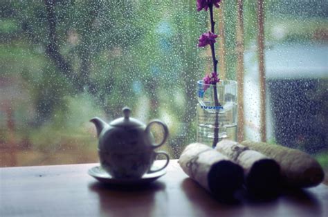 봄부터 가을 네이버 블로그