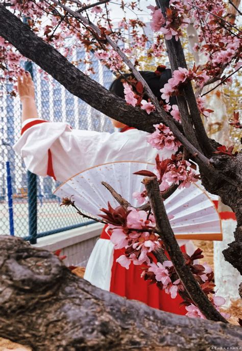 美育雅润｜本草书院举办“采中药之风，觅华夏之魂”摄影活动 本草书院