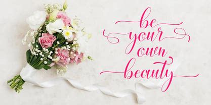 Audacity Script Font Webfont Desktop MyFonts