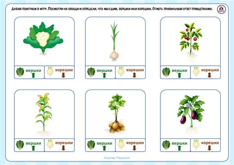 Летние развивающие игры для детей