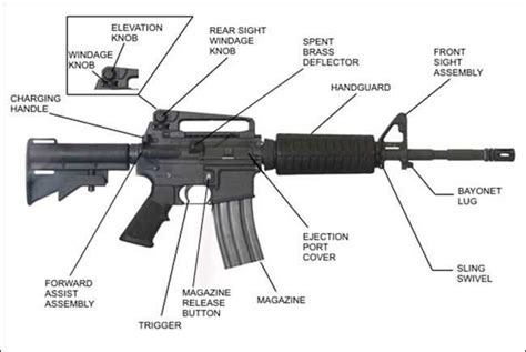 The Ultimate Guide To Understanding The M Carbine Diagram
