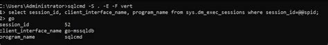 go sqlcmd tool for sql queries scripts and automation