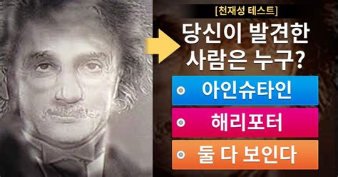 천재성 테스트 당신은 어떤 사람이 보이시나요