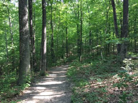 10 Best Hikes And Trails In Hoosier National Forest Alltrails