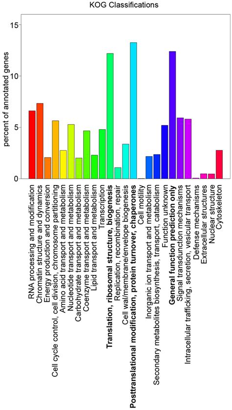 Gene Function Classification Using Kog The Three Classifications Gene Function Classification Using Kog The Three Classifications