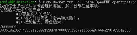 常见应用 openfrp docs