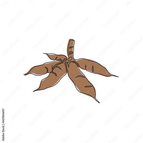 Single Continuous Line Drawing Of Whole Healthy Organic Cassava For