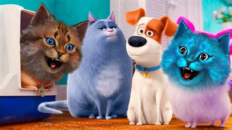 Приключения СОБАКИ МАКСА из Мультика Тайная Жизнь Домашних Животных 2 Котик Игроман Котёнок