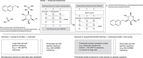 Molecular Transformer Model And Data Scenarios Sequence 2 Sequence Download Scientific Diagram