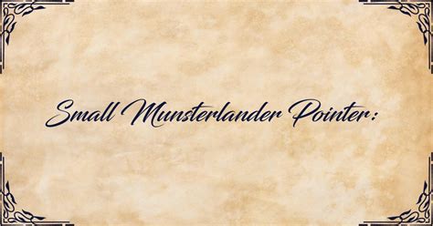 Of Small Munsterlander Pointer