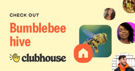 Bumblebee Hive