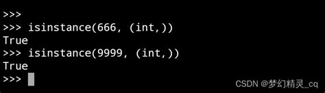 Python 中判定整数python整数判断 Csdn博客