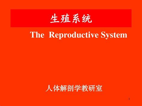 生殖word文档在线阅读与下载无忧文档