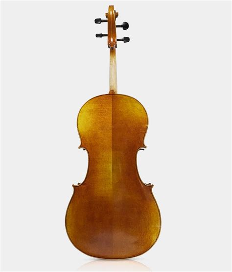Master Cello Rental Antonio Strad Violin