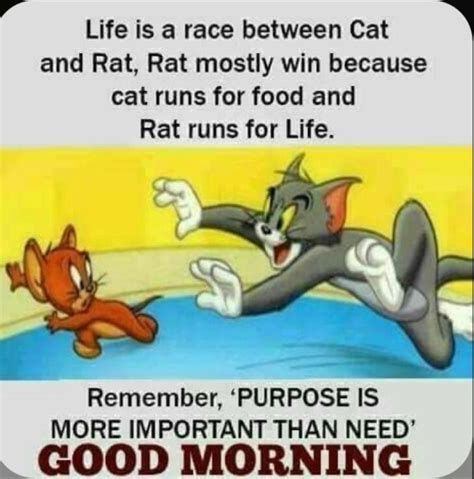 irappa mallappa posted on linkedin