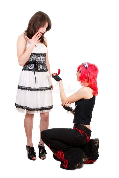 Same Sex Marriage Stock Image Image Of Isolated Background 10750287