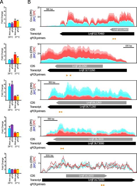 Comparative Analysis Of The Relative Expression Levels Of Selected