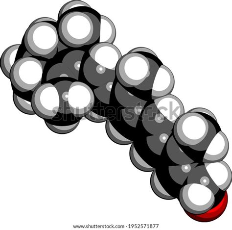 Retinyl Palmitate Vitamin Supplement Molecule Ester Stock Vector Royalty Free 1952571877