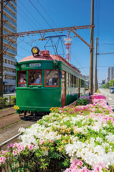 阪堺電気軌道 阪堺線 花田口妙国寺前 鉄道ホビダス