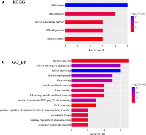 Kegg Pathway And Go Analysis Of Hub Genes In Black Module A Bar Chart Download Scientific
