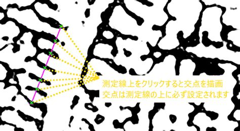 Measurement Of Dendrite Arm Spacing Das Measurement Visual Inspection And Microscope Shodensha