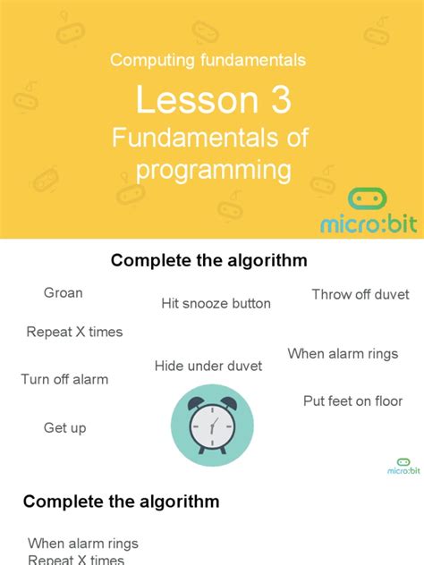 Computing Fundamentals Lesson 3 Pdf Algorithms Software Bug