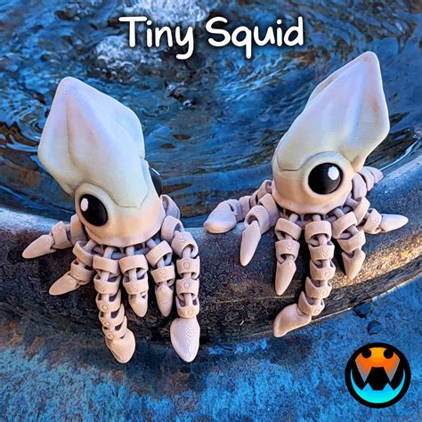 Tiny Squid 3d Model By Cinderwing3d On Thangs