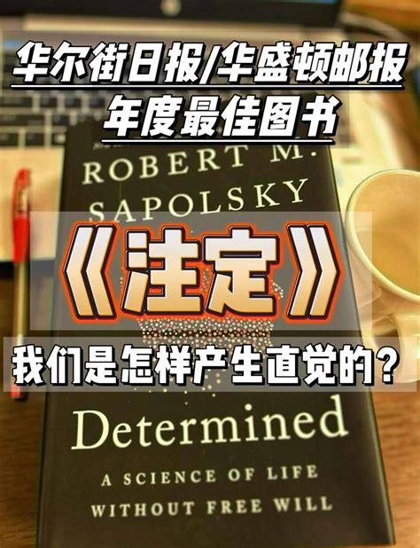 🧠直觉的神秘力量：前额叶皮质的秘密