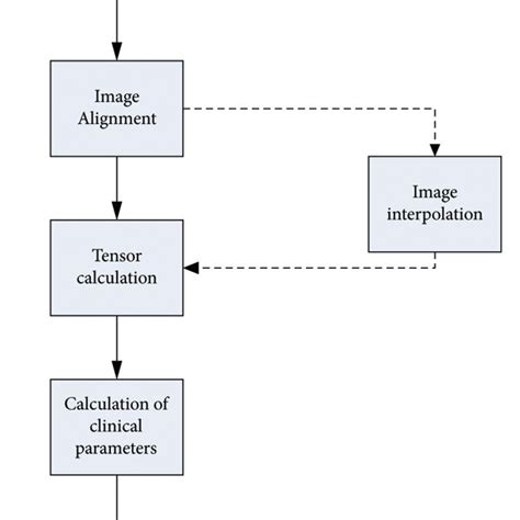 Diffusion Tensor Imaging Data Processing Flow Download Scientific