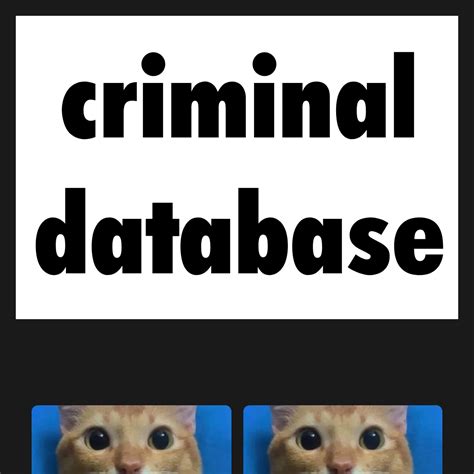 Criminal Database  Recreated