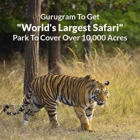 Jatin Sachdeva On Linkedin Delhi India Dubai Employment Tourism Gurgaon Realestate