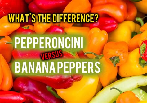 Whats The Difference Pepperoncini Vs Banana Peppers Kitchensanity