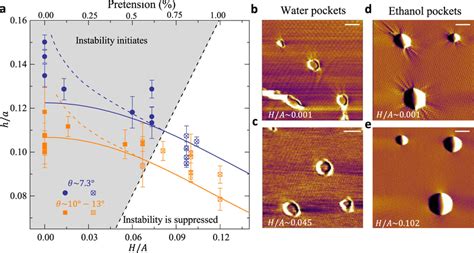 Aspect Ratios Of Nanopockets In Response To Stretching A The Dependence