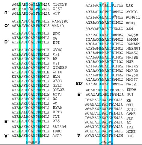 Evolutionary Conservation Of A Minusorientation Sh3 Binding Site In Nef Download Scientific