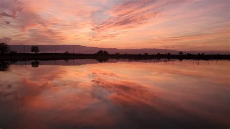 თევზაობა საამურის ტბაზე 29 10 2023 Youtube